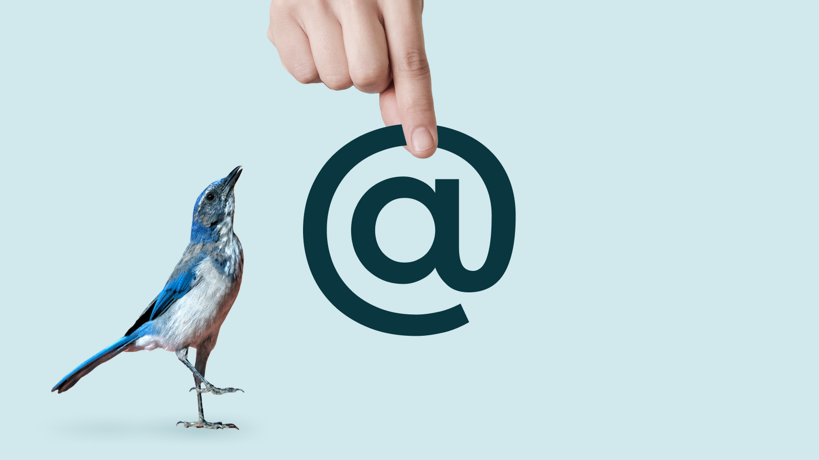 Twitter’s 200 Million-User Email Leak: What to Know and How to Protect ...