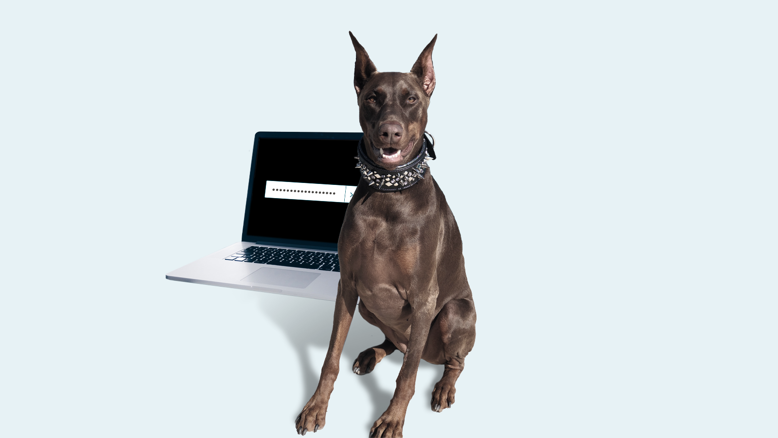 9 Practical Password Security Best Practices | Dashlane